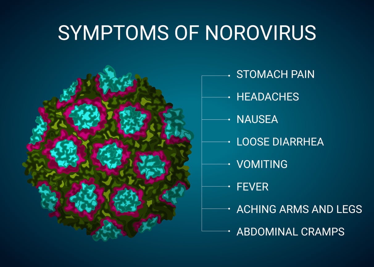 Dreaded norovirus: West Virginia Dept. of Health urges vigilance as ...