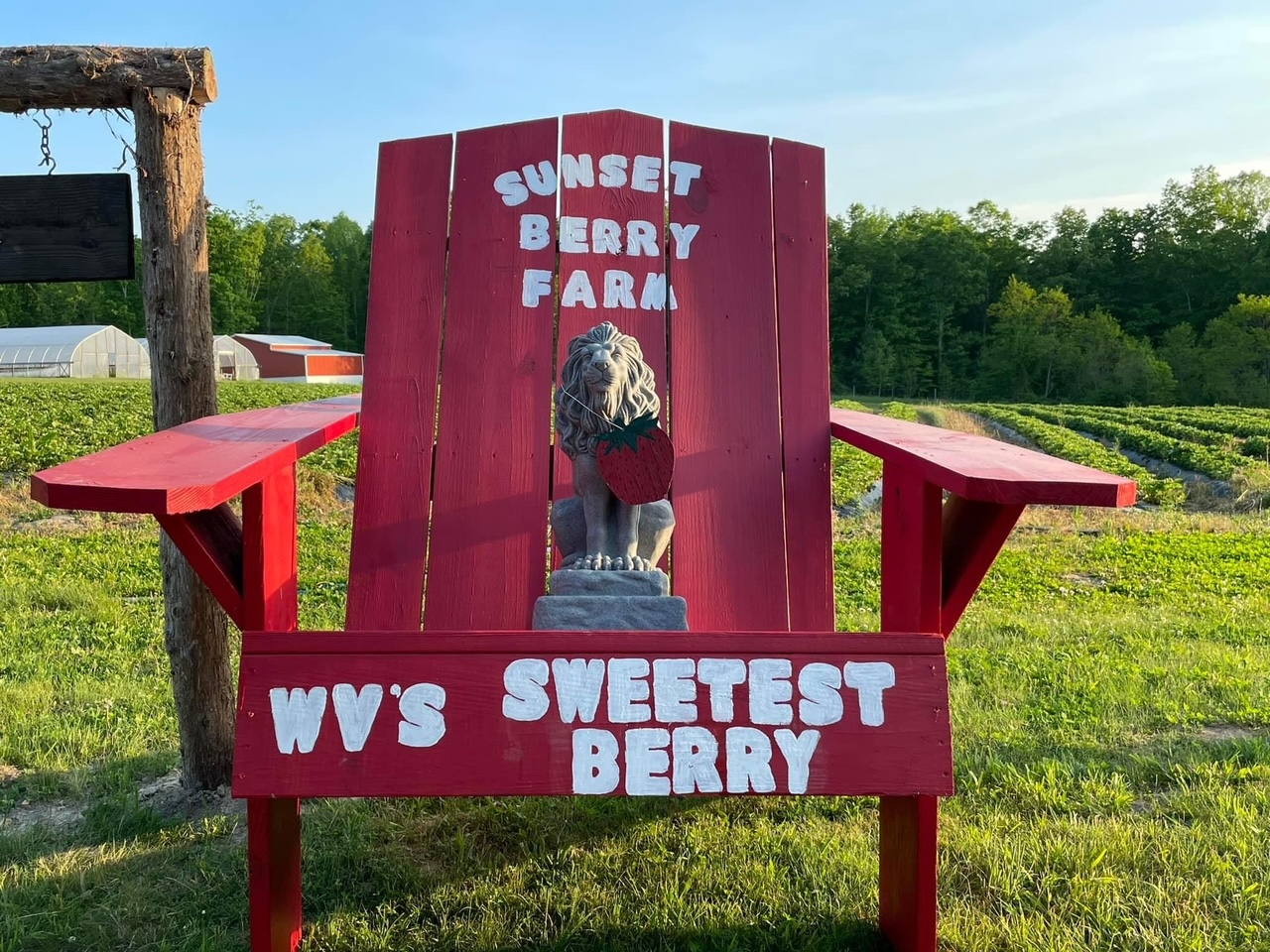 Sunset Berry Farm among recipients of USDA Specialty Crop Block Grant ...