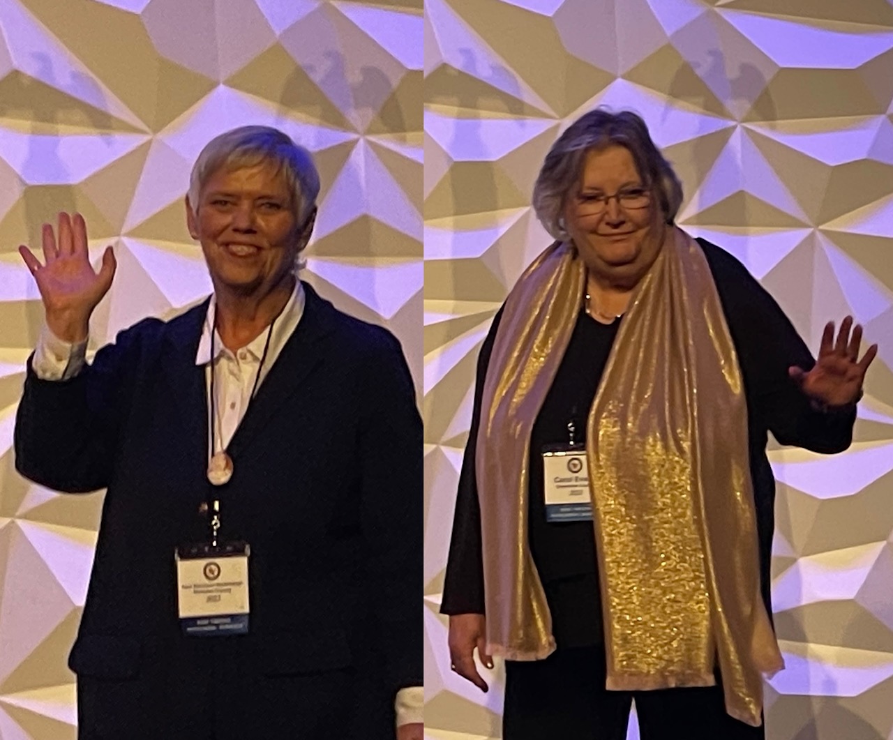 Greenbrier County's Carol Evans, Nicholas County's Terri Rodebaugh ...