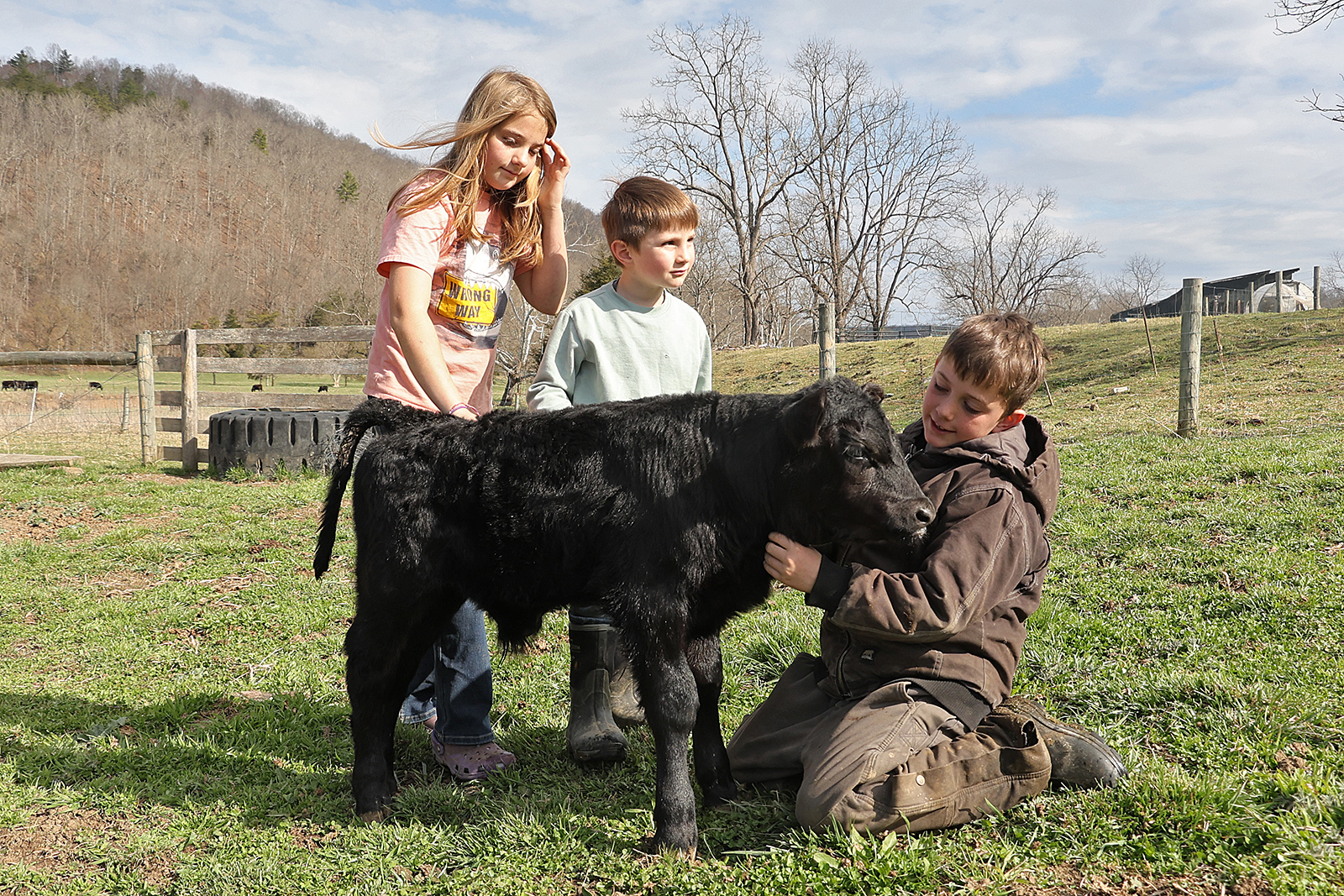 'Easy preachin’ & hard livin’ – Meet the Helmicks, family farmers ...