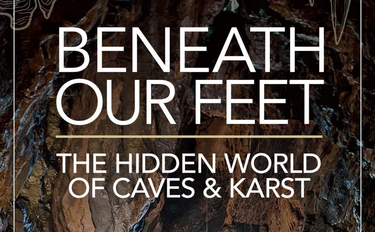 Appalachian Forest Discover Center presents new exhibit: 'The Hidden ...
