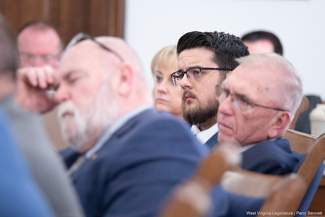 Baylea's Law moving along in House Judiciary Committee – The Real WV