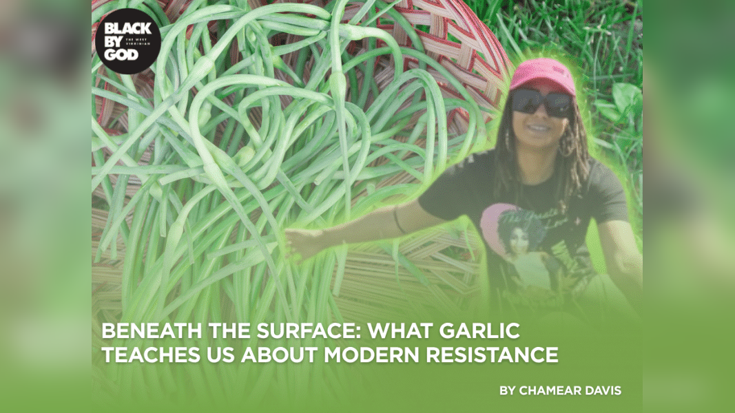 BLACK BY GOD: Beneath the surface: What garlic teaches us about modern ...